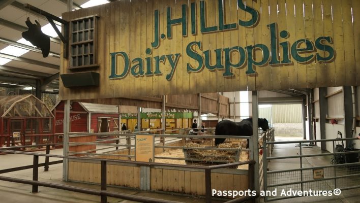 Folly Farm Adventure Park and Zoo - Our Visit and Review