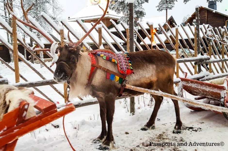 Santa Claus Village with Kids - All You Need to Know