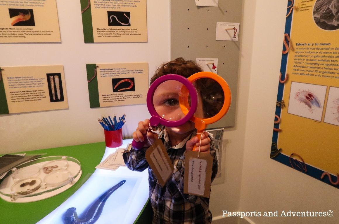 5 Awesome Things to Do in Cardiff with Kids