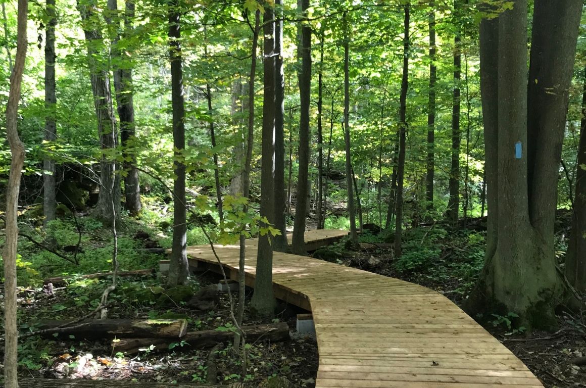 Local Family Guide Interviews - Brampton with Little Miss Kate