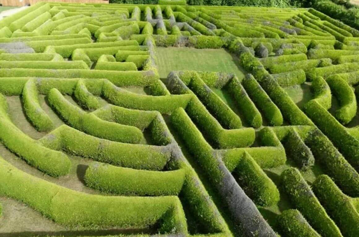 Best Mazes in Ireland for Kids – Will You Find Your Way Out ...